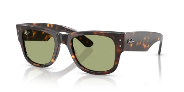 Ray-ban Full Rim Sunglasses - Havana