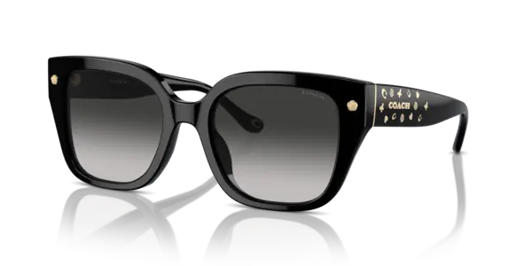 COACH Hc8392u Sunglasses - Noir