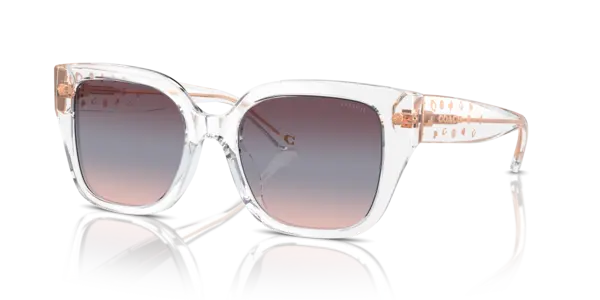 COACH Hc8392u Sunglasses - Transparente Claro
