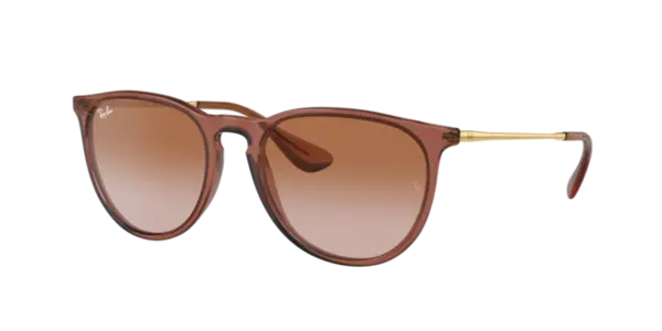 Ray-ban Erika Classic Sunglasses - Transparent Light Brown