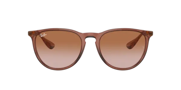 Ray-ban Erika Classic Sunglasses - Transparent Light Brown
