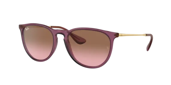 Ray-ban Erika Classic Sunglasses - Transparent Violet