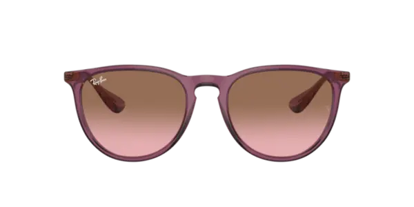 Ray-ban Erika Classic Sunglasses - Transparent Violet