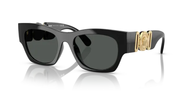 Versace Ve4479u Sunglasses - Noir