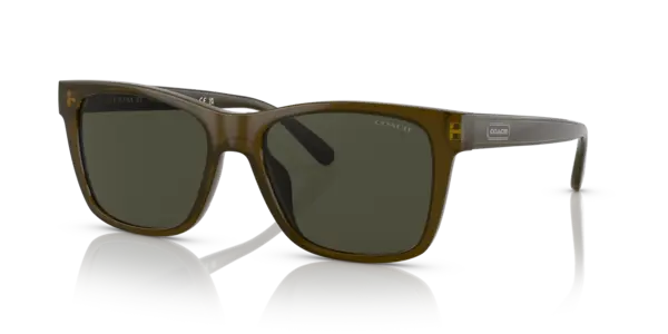 COACH Hc8359u Sunglasses - Vert Militaire
