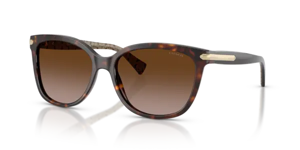 COACH Hc8132 Sunglasses - Écaille De Tortue Foncée
