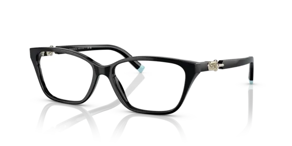 Tiffany & Co. Full Rim Eyeglasses - Noir