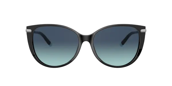 Tiffany & Co. Tf4178 - Black