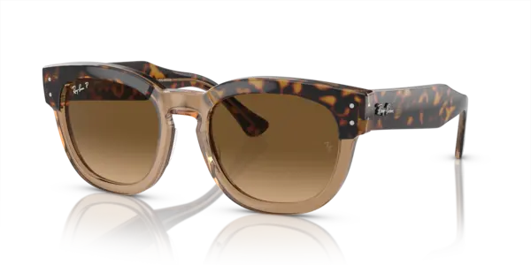 Ray-ban Sunglasses - Havana Sur Brun Transparent