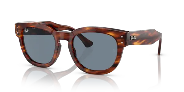 Ray-ban Sunglasses - Striped Havana