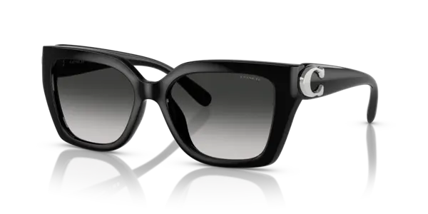 COACH Hc8408u Sunglasses - Noir