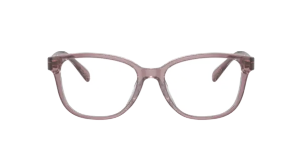 COACH Hc6224u Eyeglasses - Transparent Rose,blush