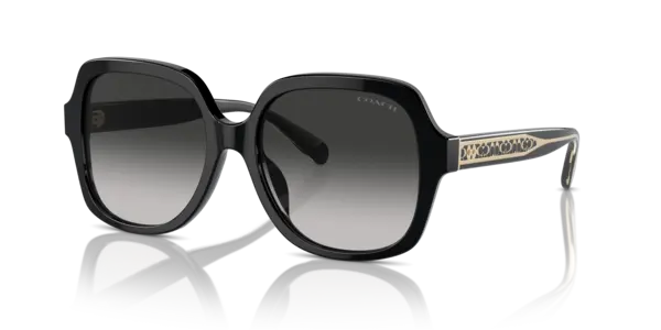 COACH Full Rim Sunglasses - Noir