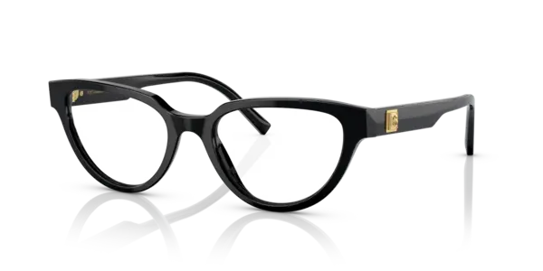 Dolce & Gabbana Dg3358 - Noir