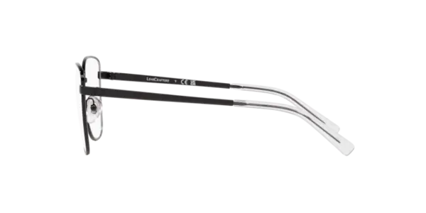LENSCRAFTERS Irregular Eyeglasses