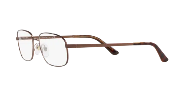 SFEROFLEX Sf2290 Eyeglasses - Marrón
