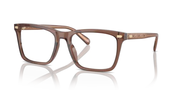 COACH Hc6238u Eyeglasses - Transparent Pecan