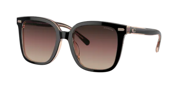 COACH Square Frame Sunglasses - Black