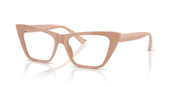 JIMMY CHOO Full Rim Sunglasses - Rose