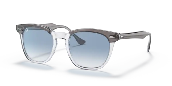Ray-ban Sunglasses - Gris Sur Transparent