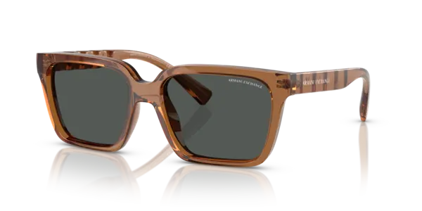 Armani Exchange Sunglasses - Shiny Transparent Brown