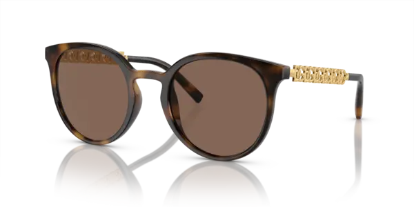 Dolce & Gabbana Sunglasses Dg6189u - Havana