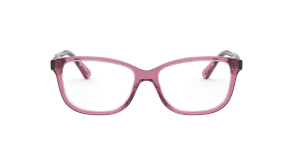 COACH Eyeglasses - Transparent Mauve