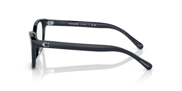 COACH Butterfly Eyeglasses