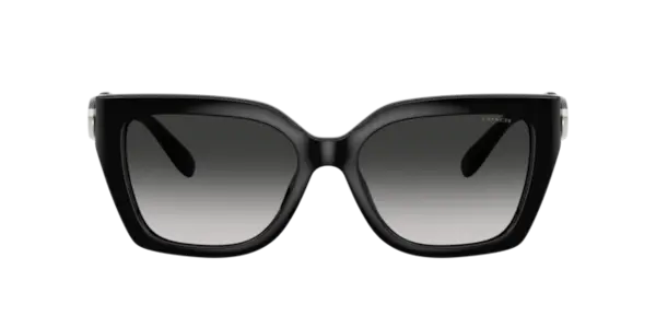 COACH Full Rim Square Frame Sunglasses - Black