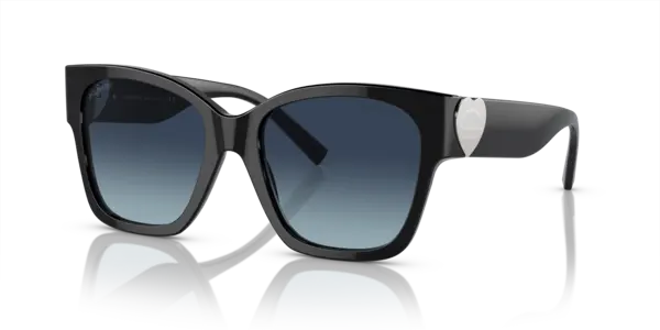Tiffany & Co. Full Rim Square Frame Sunglasses - Noir