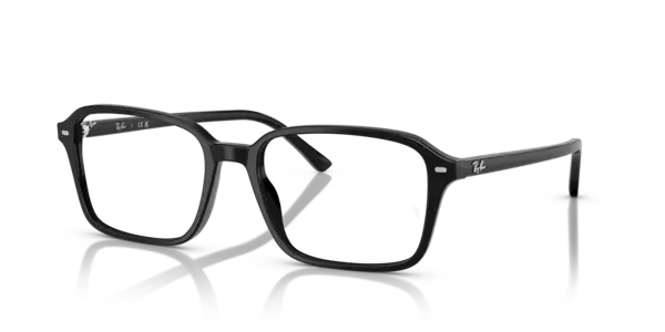 Ray-ban Eyeglasses - Noir