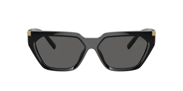Tiffany & Co. Tf4205u Sunglasses - Black