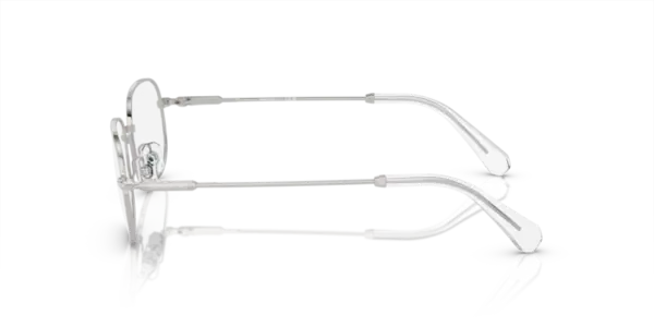 SWAROVSKI Sk1005 Eyeglasses - Silver