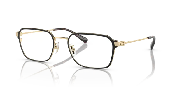 COACH Hc5167 Eyeglasses - Or Clair,noir