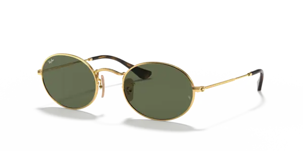 Ray-ban Round Frame Sunglasses