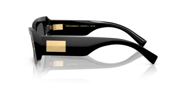 Dolce & Gabbana Dg4479 Sunglasses - Black