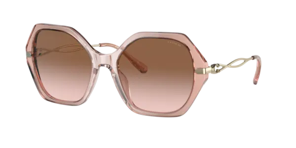 COACH Sunglasses - Gradient Transparent Peach
