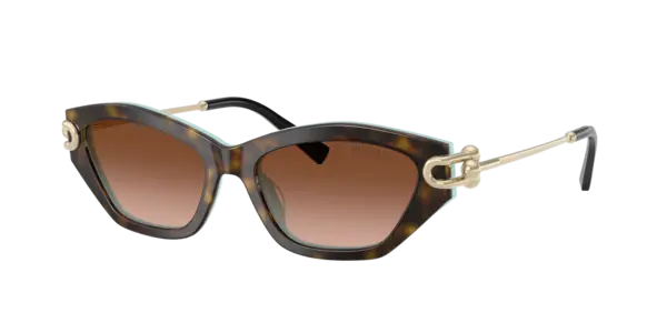 Tiffany & Co. Full Rim Cat Eye Sunglasses - Brown Gradient
