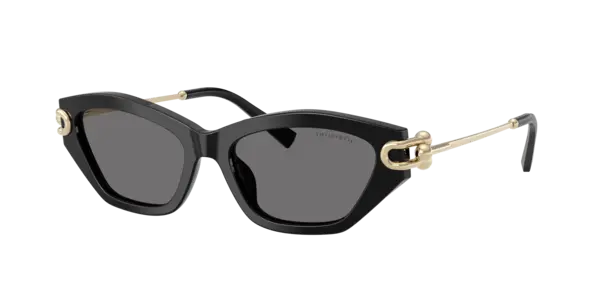 Tiffany & Co. Sunglasses - Dark Grey Polar