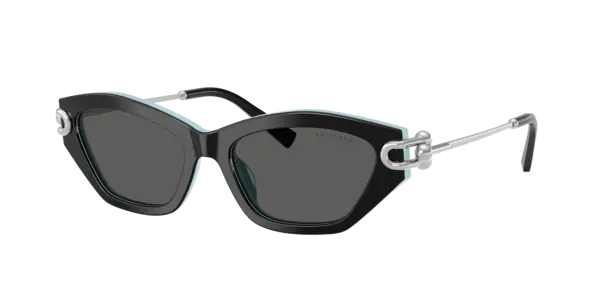 Tiffany & Co. Full Rim Cat Eye Sunglasses - Dark Grey