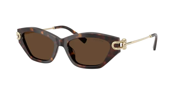 Tiffany & Co. Full Rim Cat Eye Sunglasses - Light Brown
