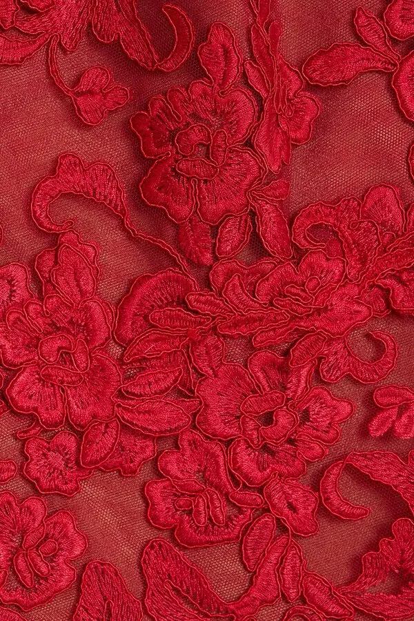 Marchesa Floral-appliquéd Corded Lace Gown - Red