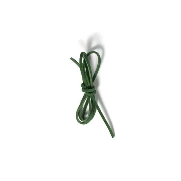 Miu Miu Leather Laces - Green