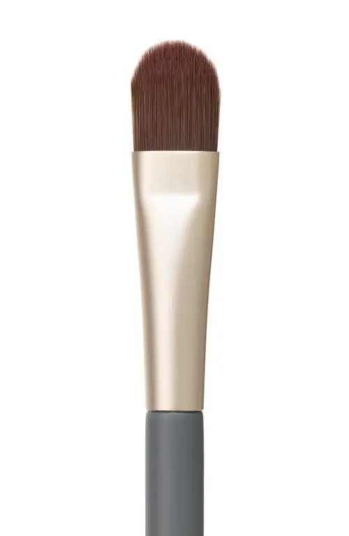 Jane Iredale Camouflage Brush - No Color