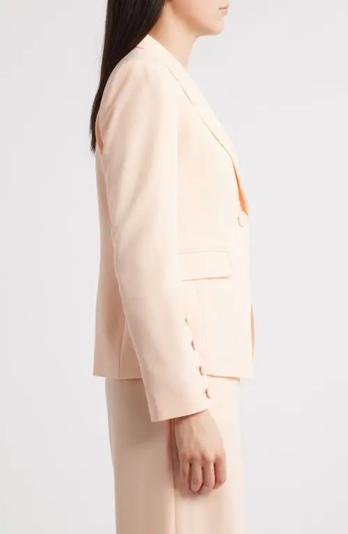 TAHARI ASL One-button Blazer - Parfait
