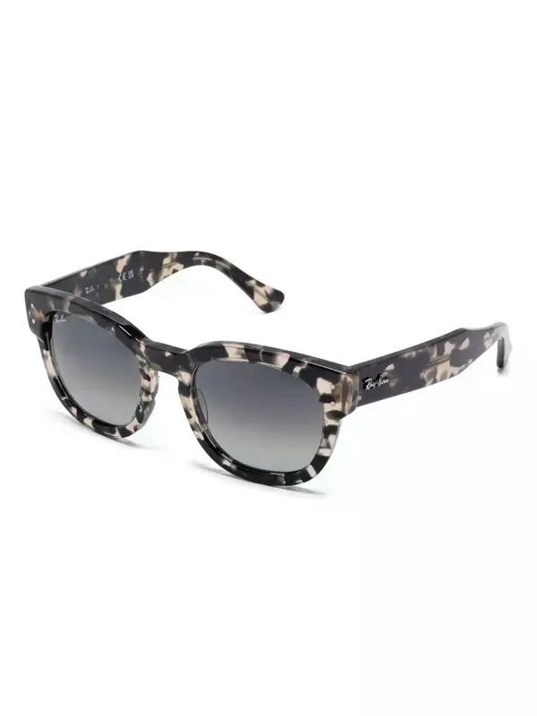Ray-ban Hawkeye Sunglasses - Black