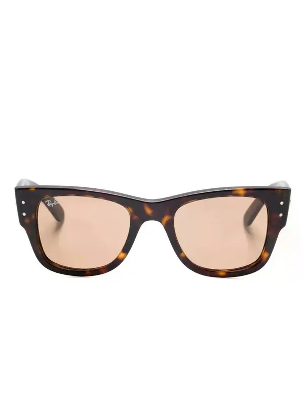 Ray-ban Sunglasses - Brown