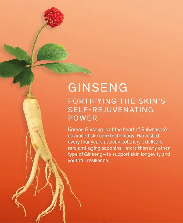 SULWHASOO Concentrated Ginseng Rejuvenating Ampoule - No Color