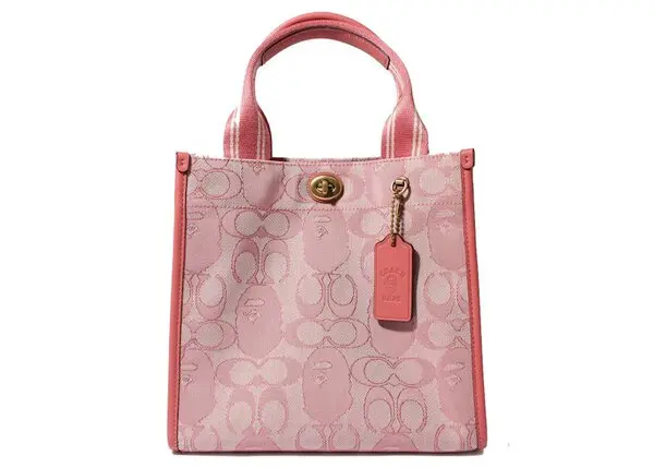 COACH X Bape Canvas Tote 22