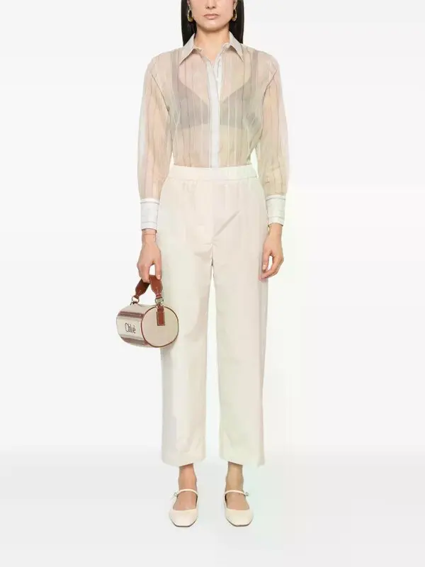 Peserico Striped Organza Shirt